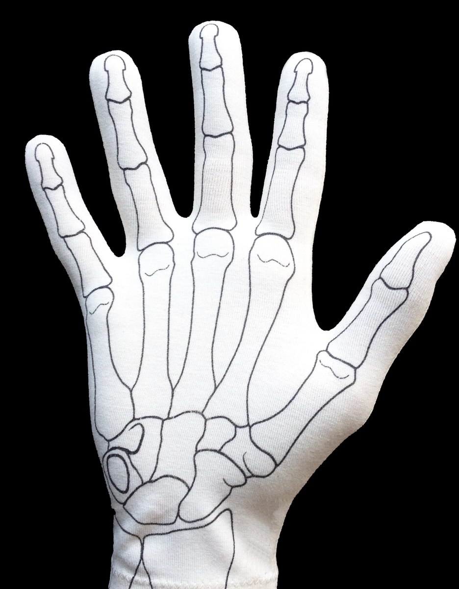 Anatomy Glove Learning System | German Videos | Deutsche Videos ...